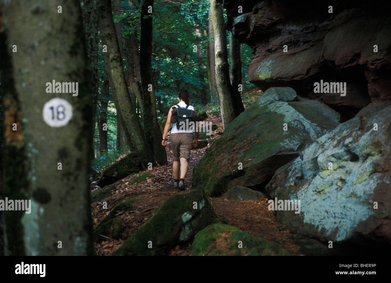 Rehberg hi-res stock photography and images - Alamy