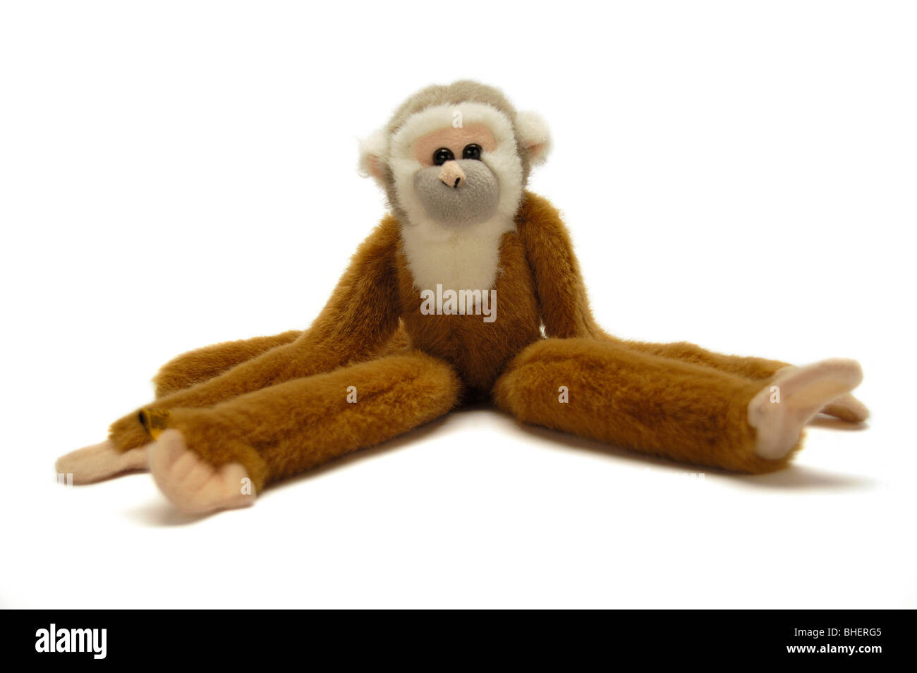 Chimpanzee swing hi-res stock photography and images - Alamy