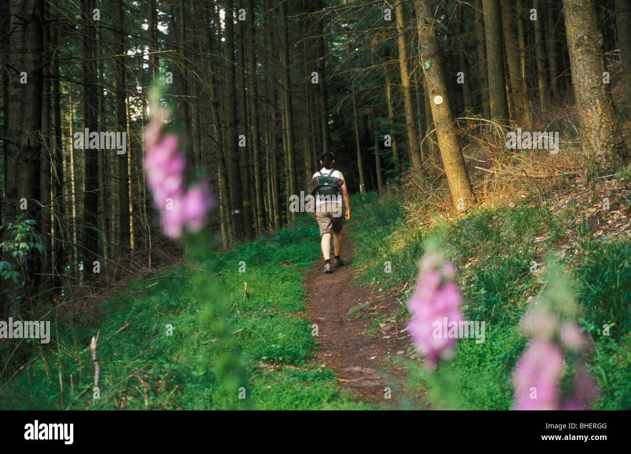 Rehberg hi-res stock photography and images - Alamy