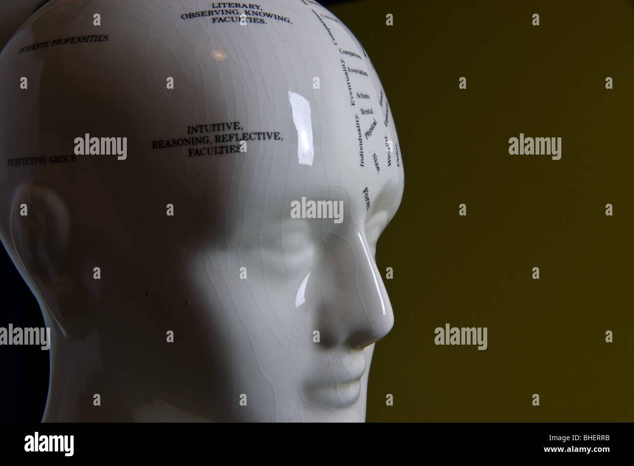 Head words hi-res stock photography and images - Alamy