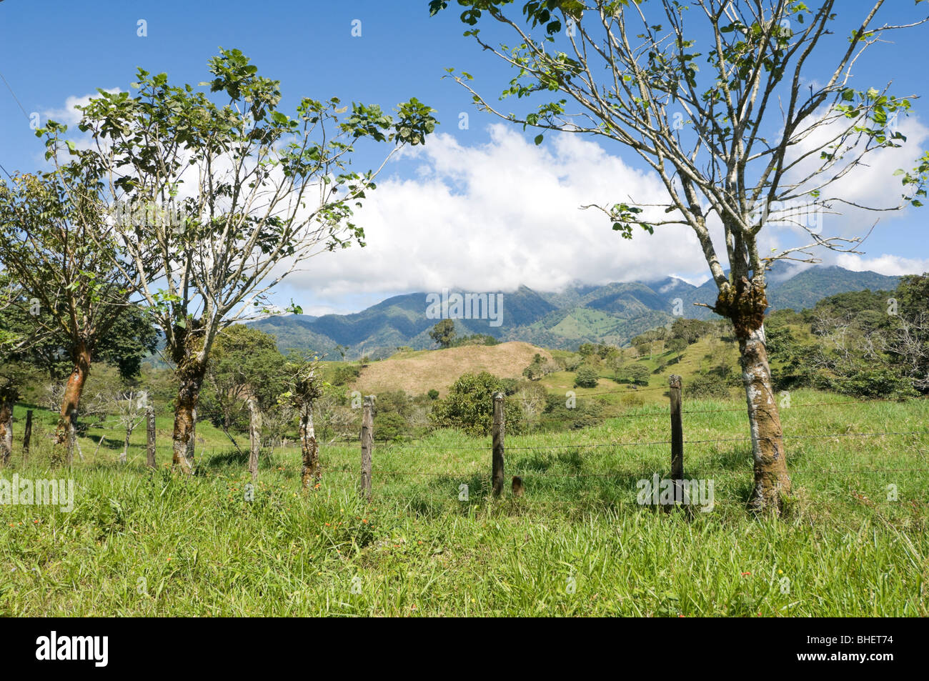 Panama Chiriqui Province Stock Photo - Alamy