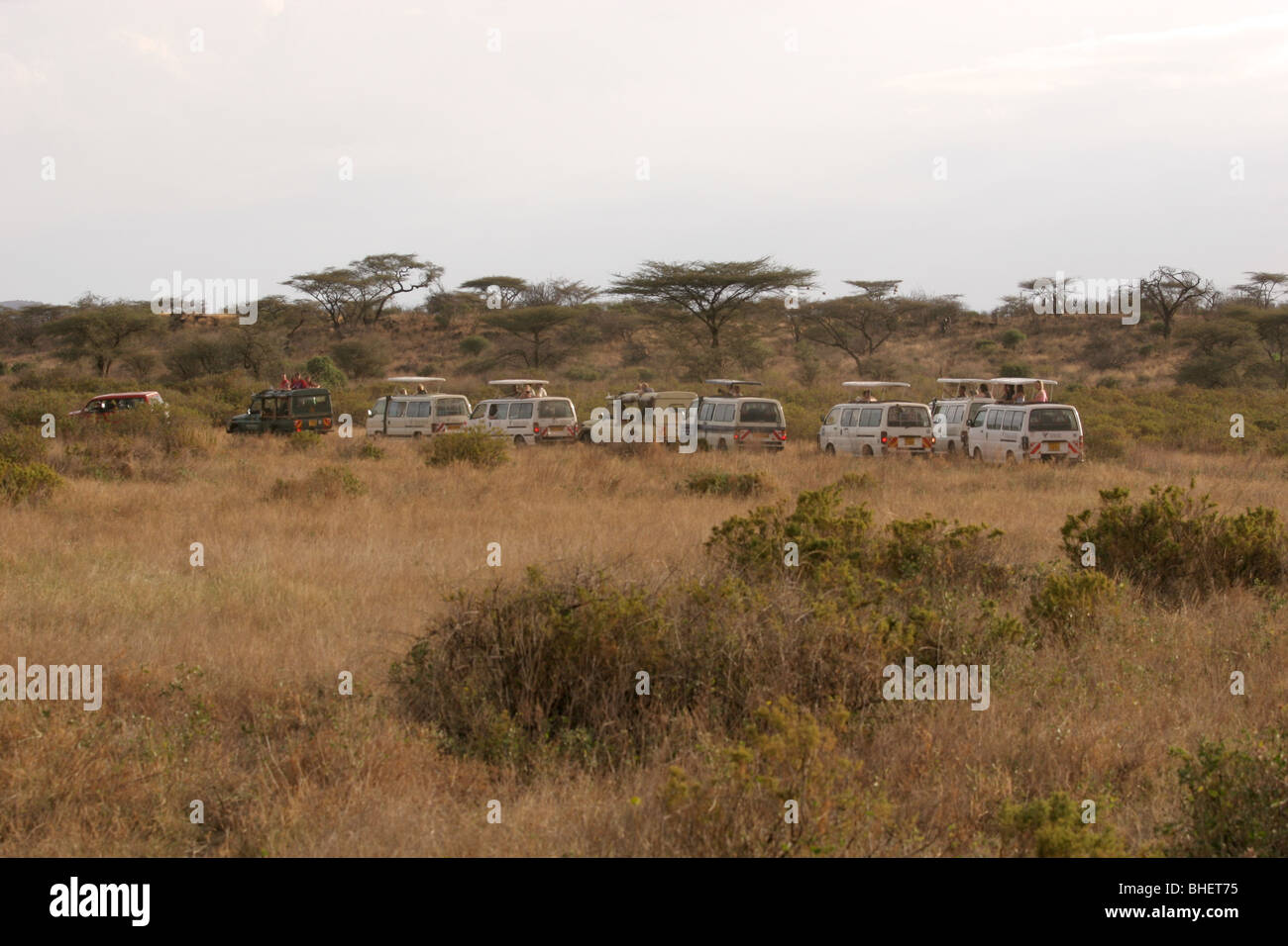 Safari buses hi-res stock photography and images - Alamy