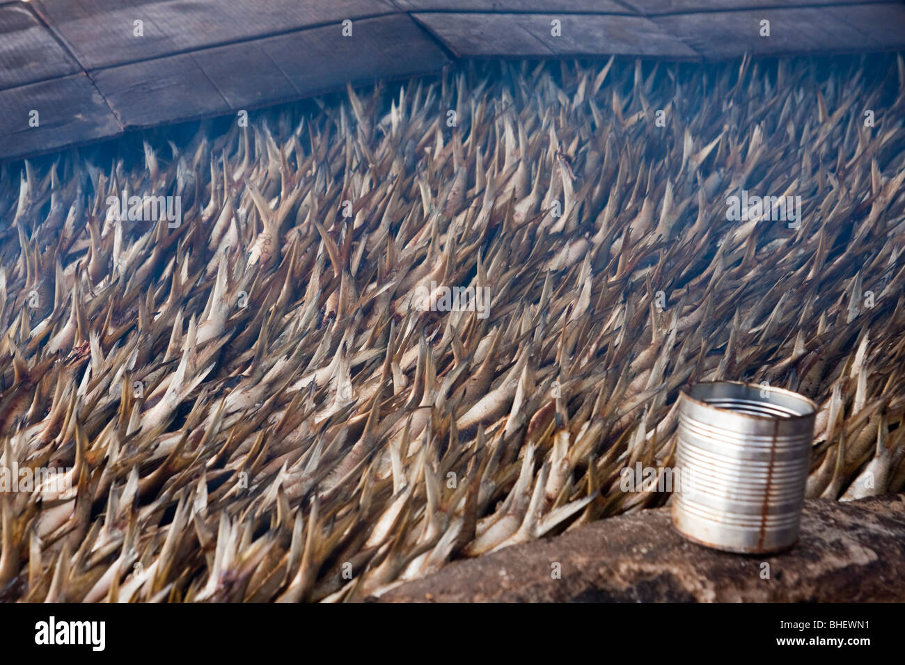 Smoking fish in Tanji fishing village Gambia Africa Stock Photo - Alamy