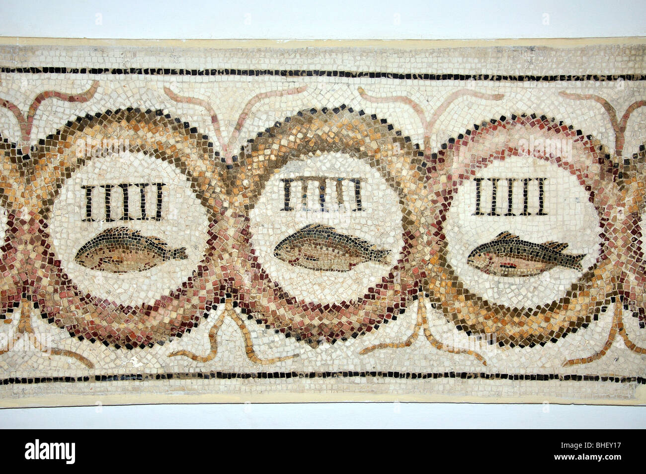 'Five fish doorstep' mosaic, El Djem Archeological Museum, El Djem ...