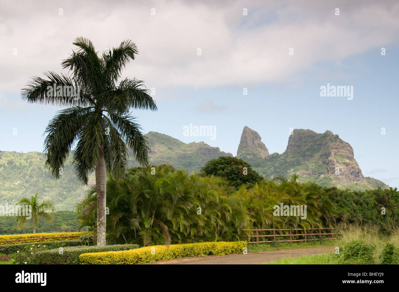 Rural landscape Kauai, Hawaii Stock Photo - Alamy