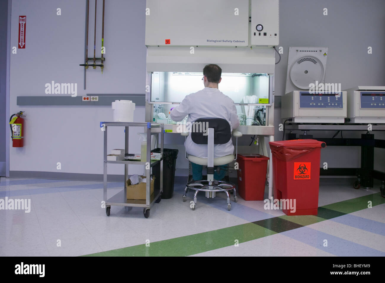 Scientist in a laboratory Stock Photo - Alamy