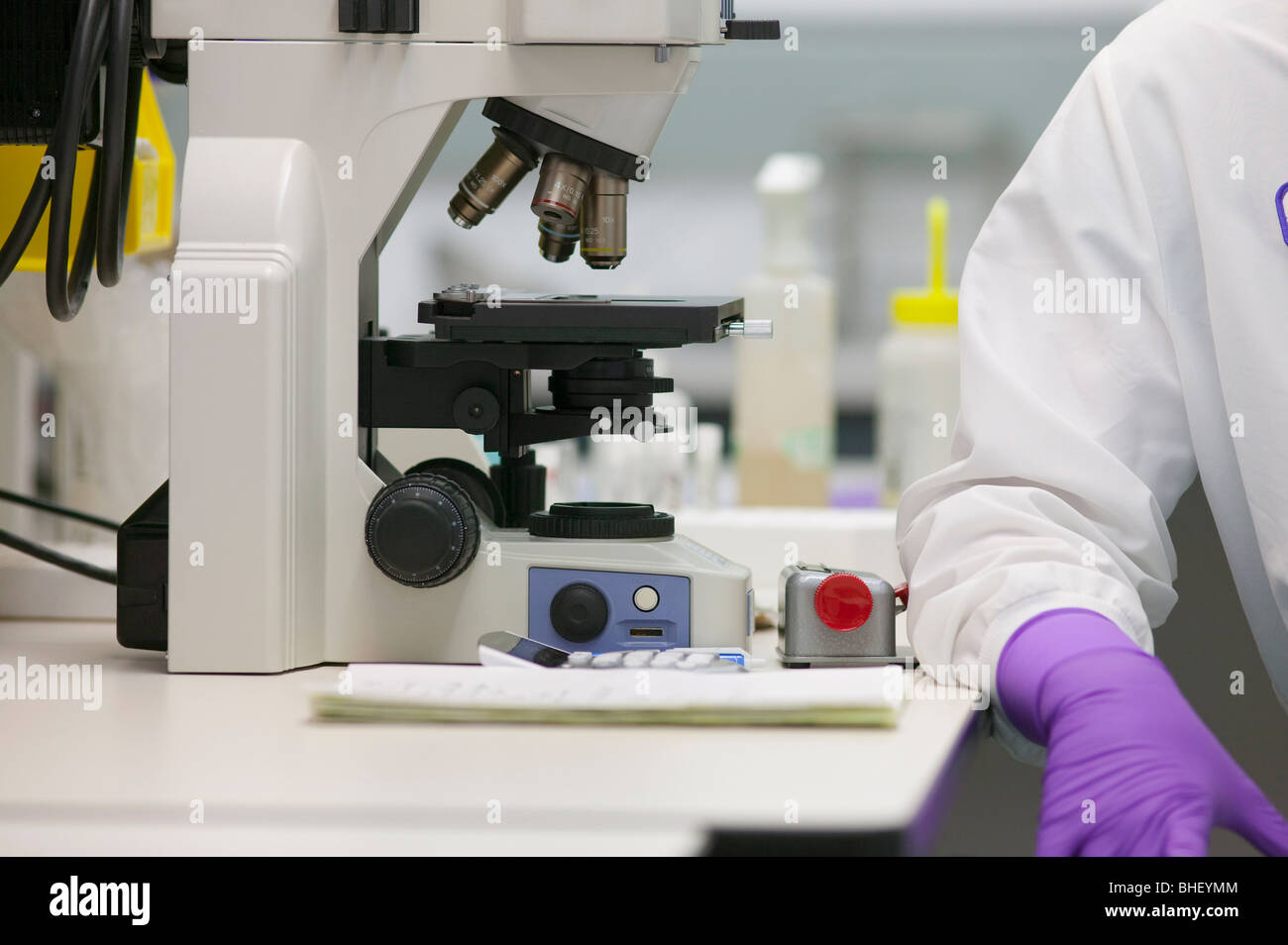 Scientist analyzing stem cell sample in a laboratory Stock Photo - Alamy