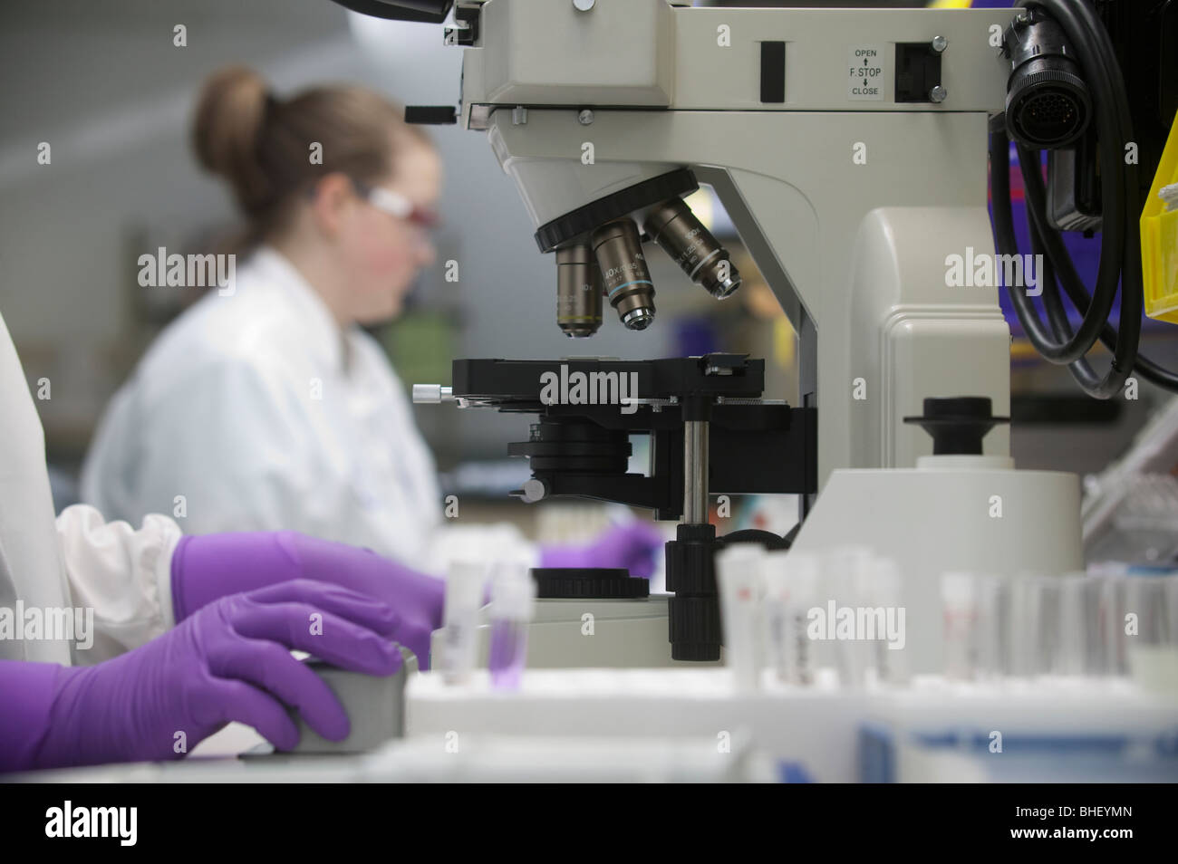 Scientist analyzing stem cell sample in a laboratory Stock Photo - Alamy
