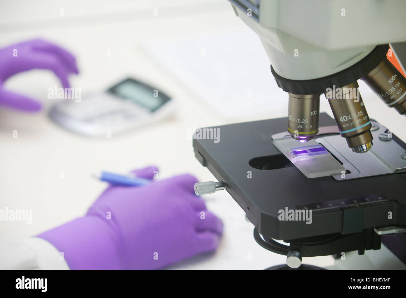 Scientist analyzing stem cell sample in a laboratory Stock Photo - Alamy