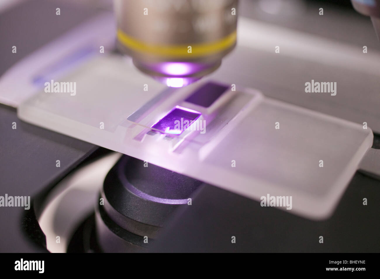 Close-up of a microscope in a laboratory Stock Photo - Alamy