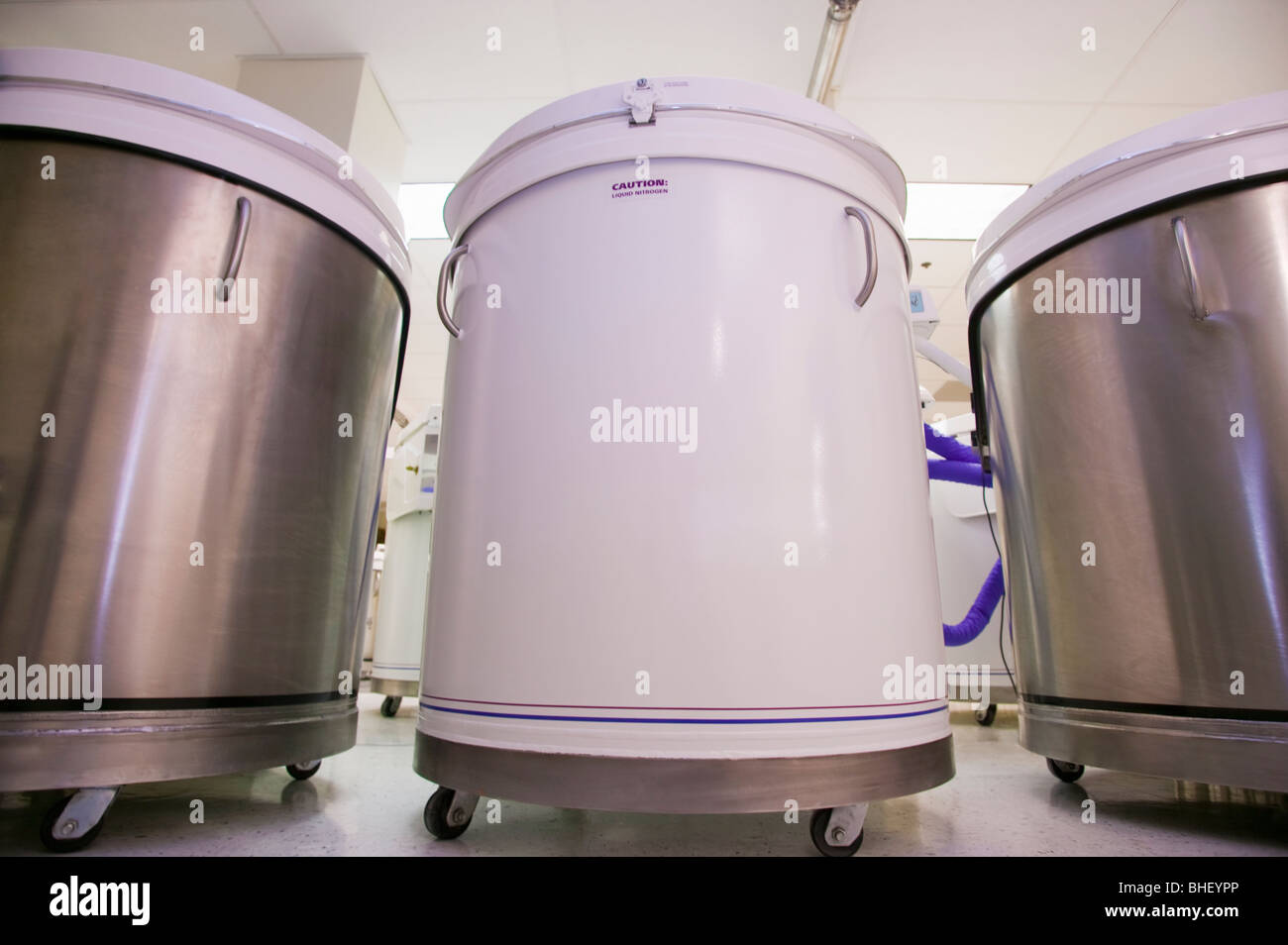 Cryogenics tanks in a laboratory Stock Photo - Alamy