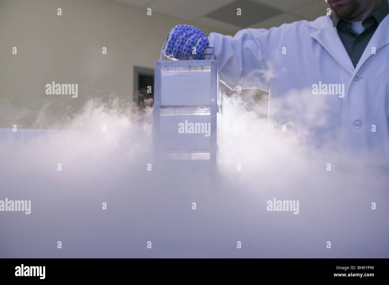 Scientist removing tissue samples from a storage tank of liquid ...