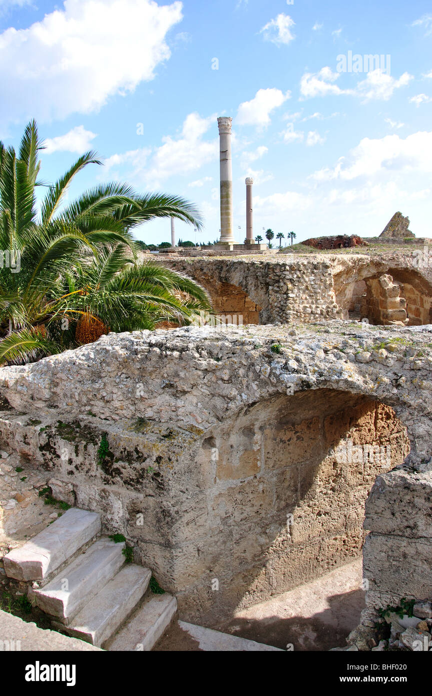Carthage hi-res stock photography and images - Alamy