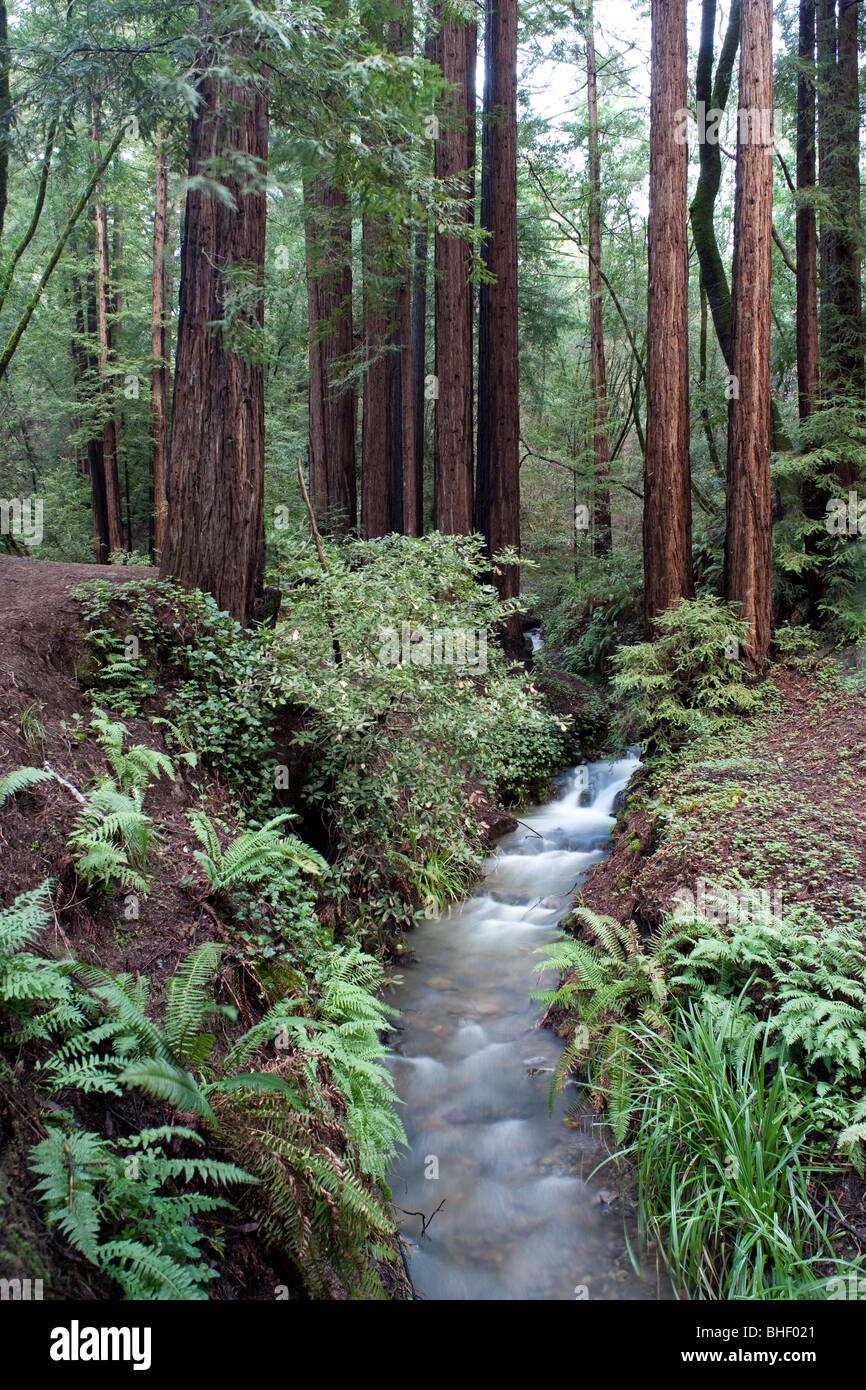 Falls mill stream in hi-res stock photography and images - Alamy
