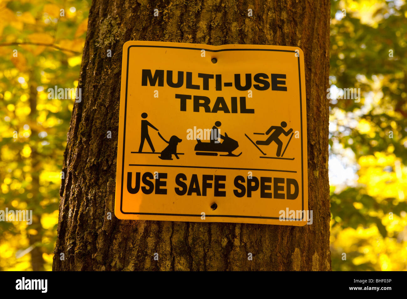 Tree protection sign hi-res stock photography and images - Alamy