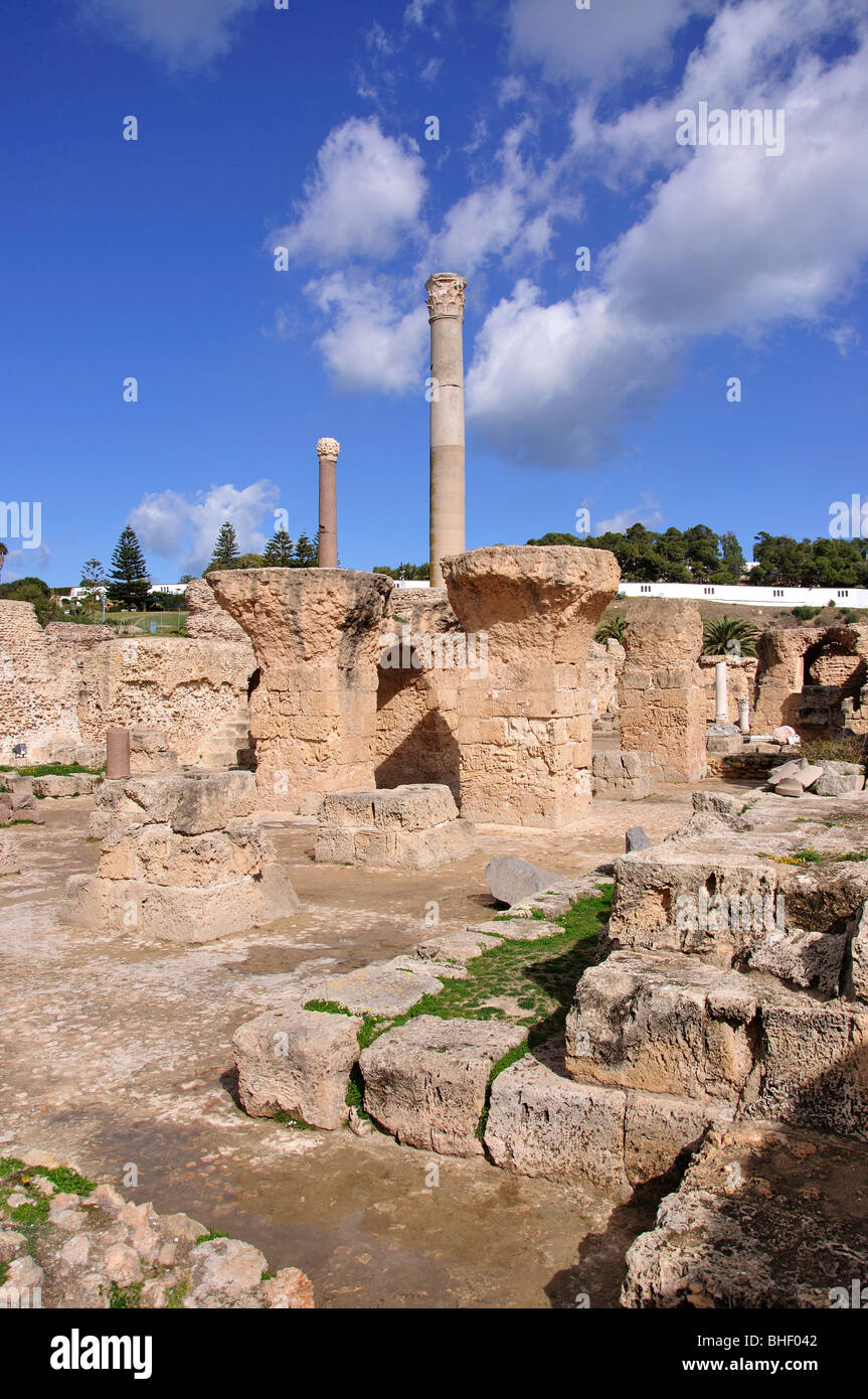 Carthage tunis tunisia hi-res stock photography and images - Alamy