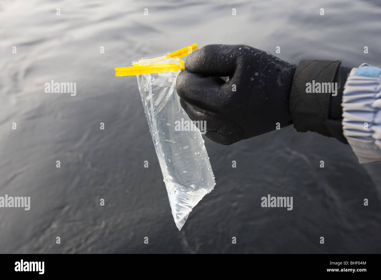 Scientist filling water sample in whirl pak Stock Photo - Alamy