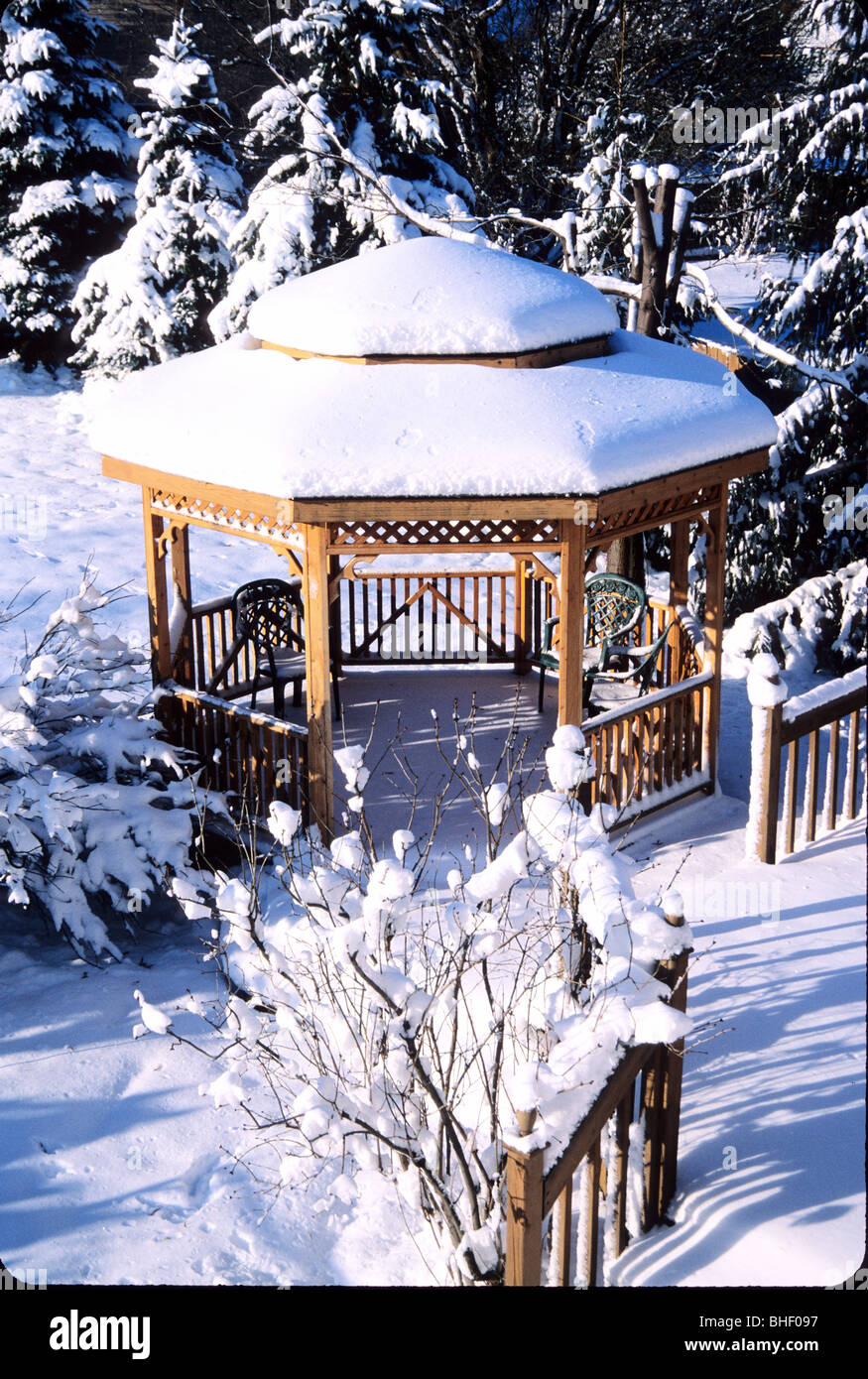 Trees bushes rails gazebo covered by fresh snow, frost winter patio ...