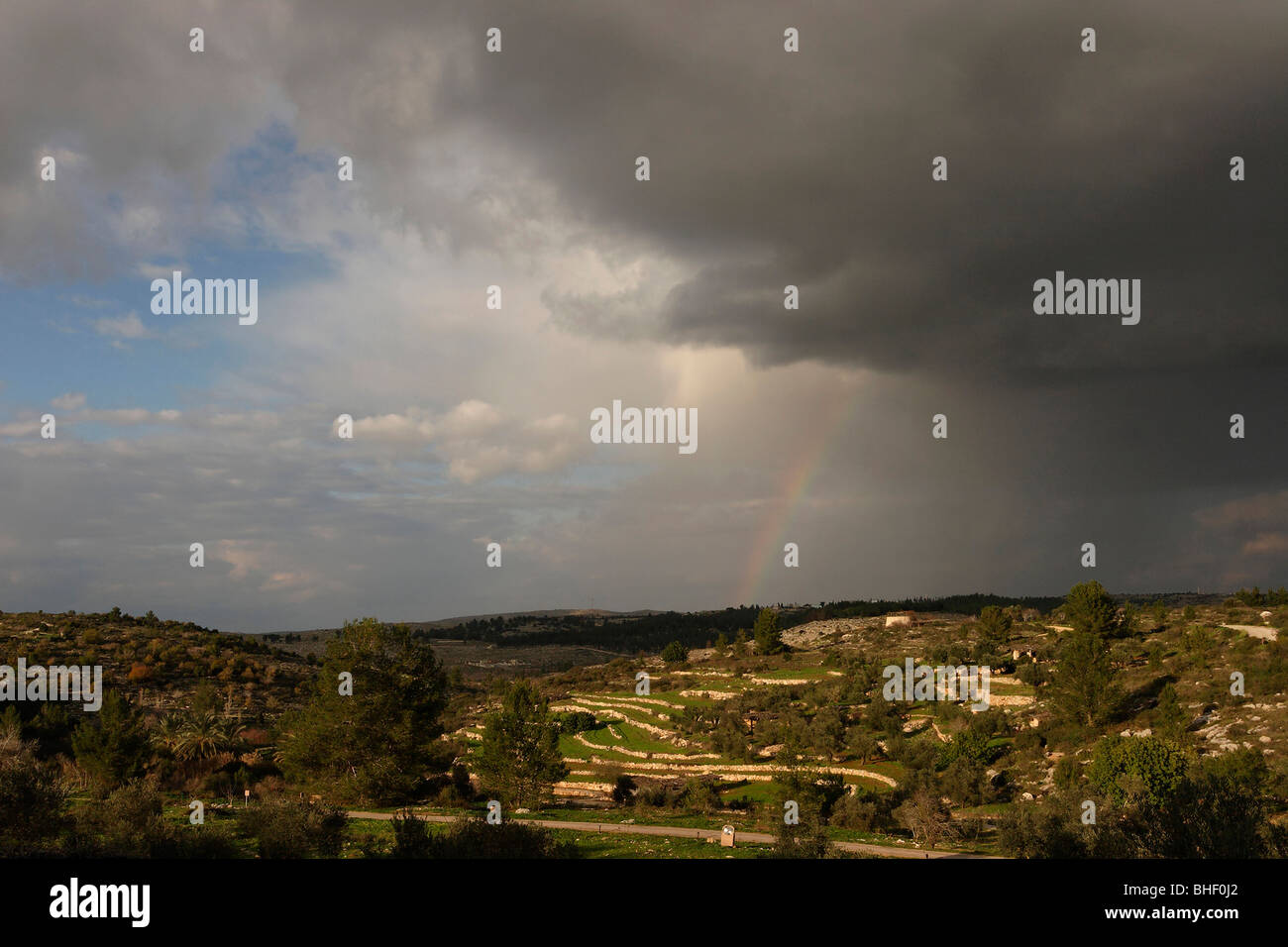 Israel, Shephela. Neot Kedumim — the Biblical Landscape Reserve Stock ...