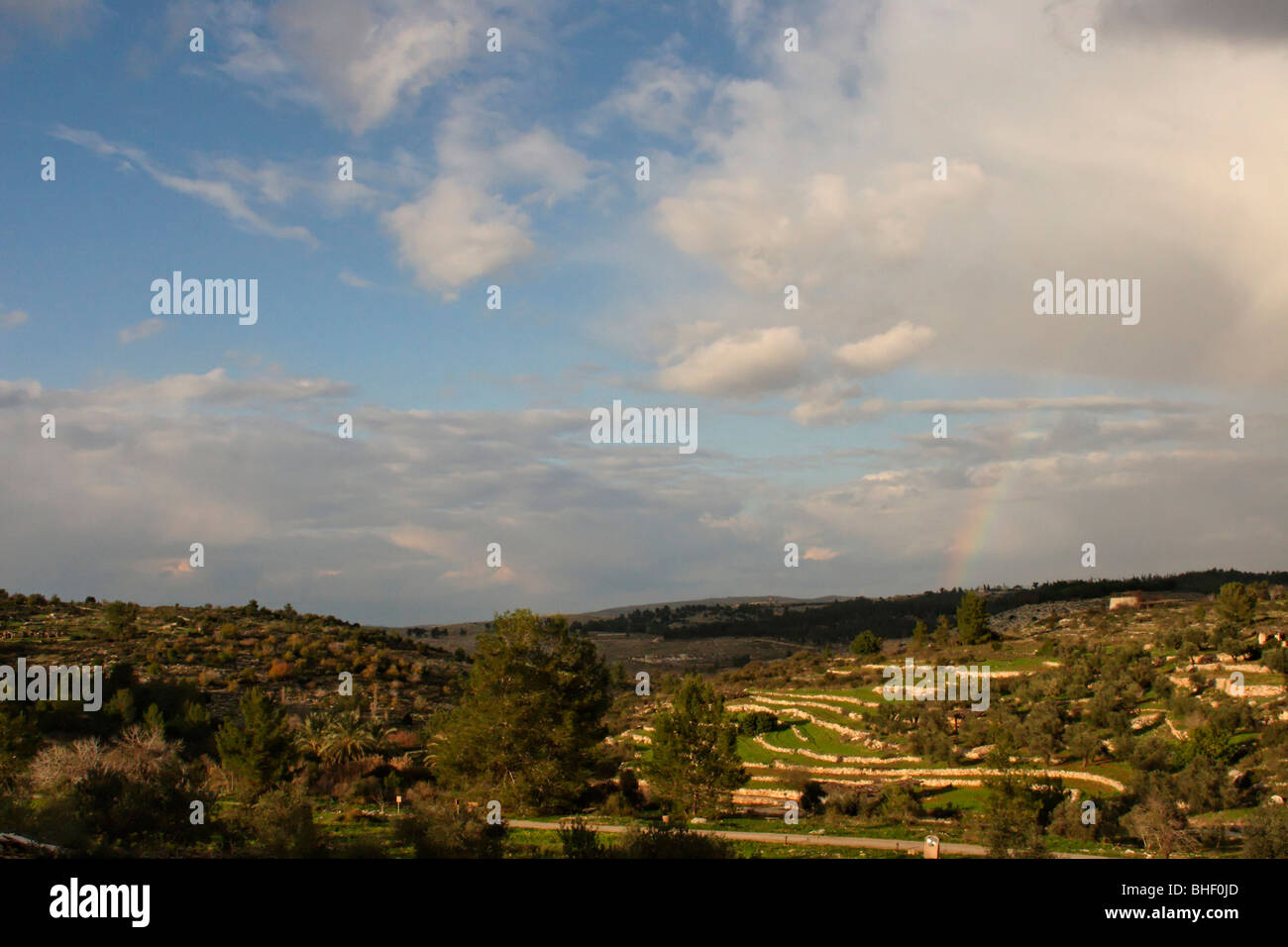 Israel, Shephela. Neot Kedumim — the Biblical Landscape Reserve Stock ...