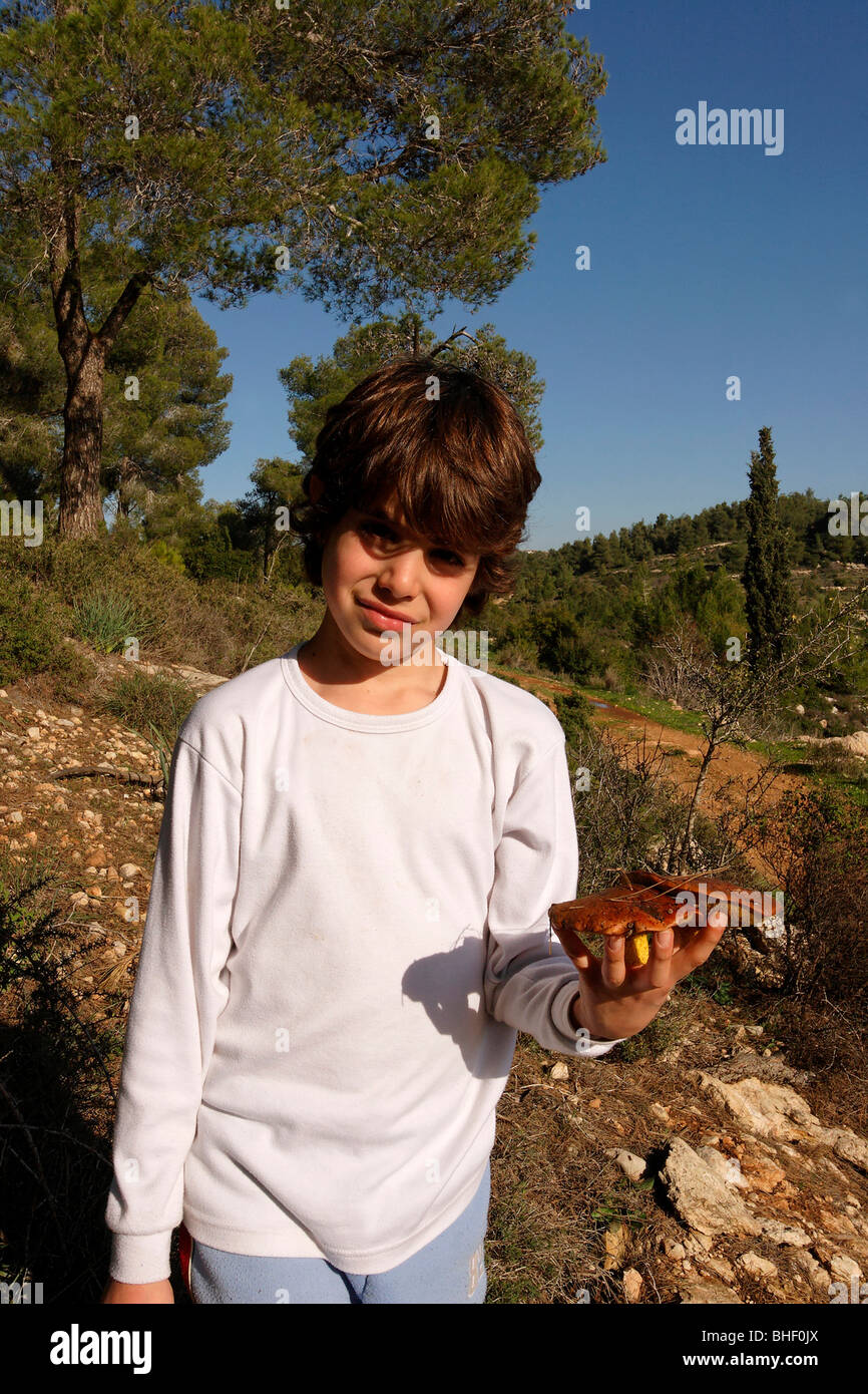 Israel, Jerusalem Mountains. Picking mushrooms on Har Haruach, the ...