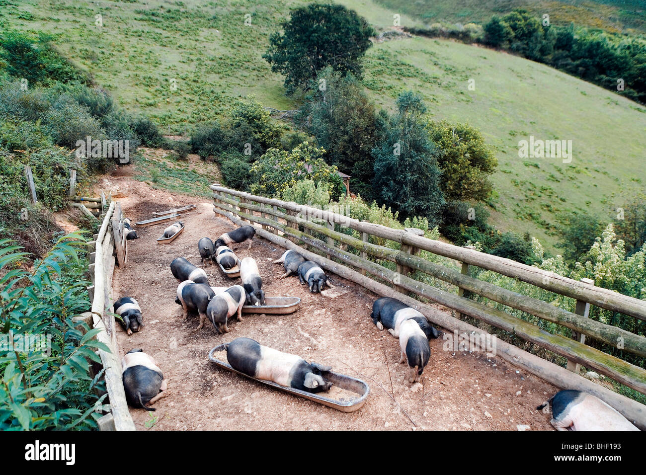 Aldude High Resolution Stock Photography and Images - Alamy