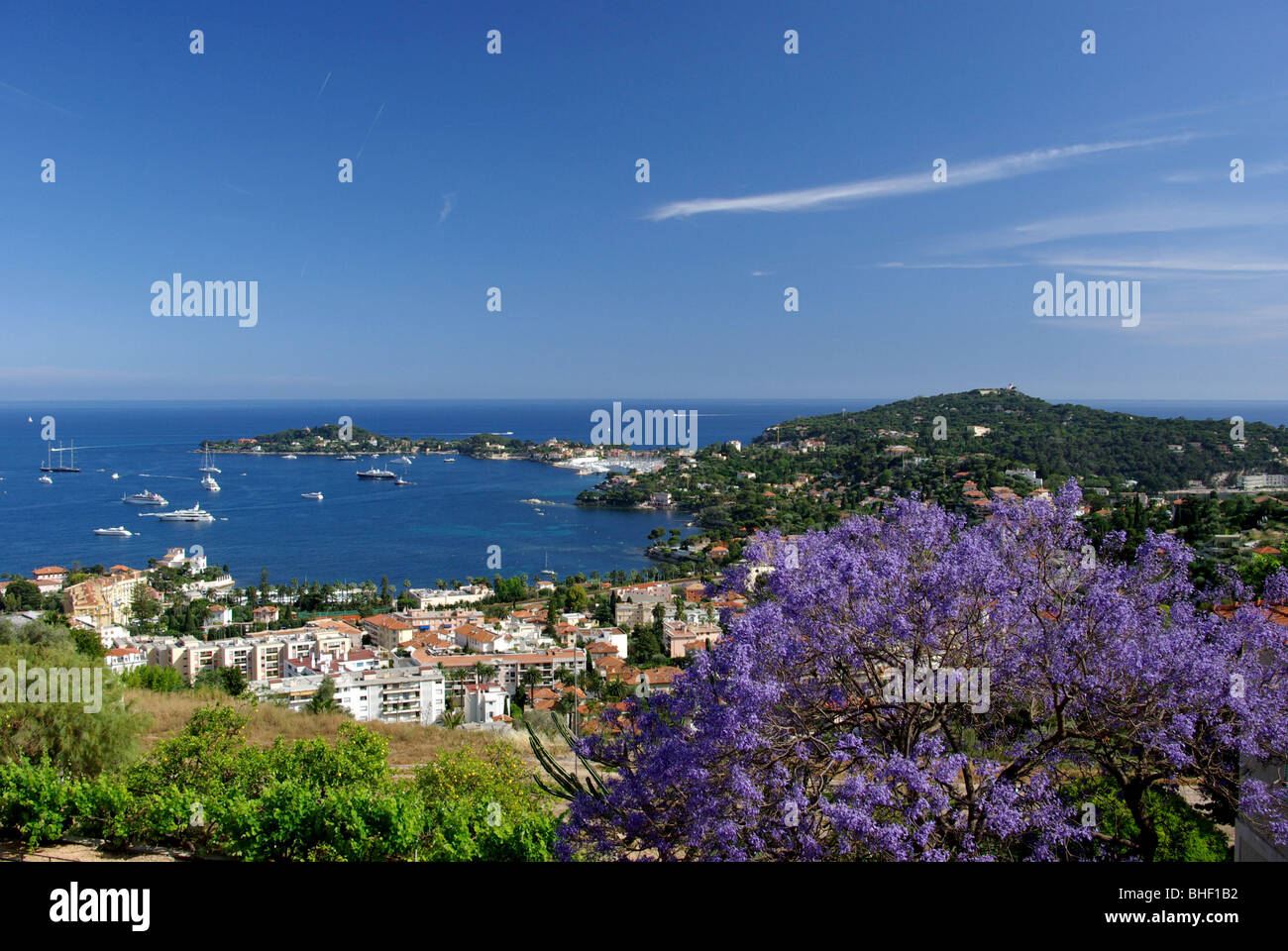 Cap ferrat peninsula alpes hi-res stock photography and images - Alamy