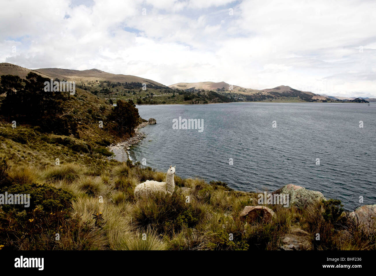 Peru : Lake Titicaca Stock Photo - Alamy