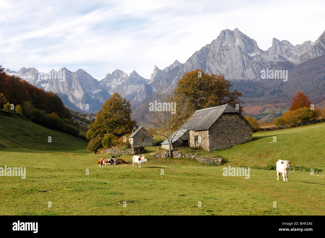 Aspe Valley in the Béarn (former province of France) (64 Stock Photo ...