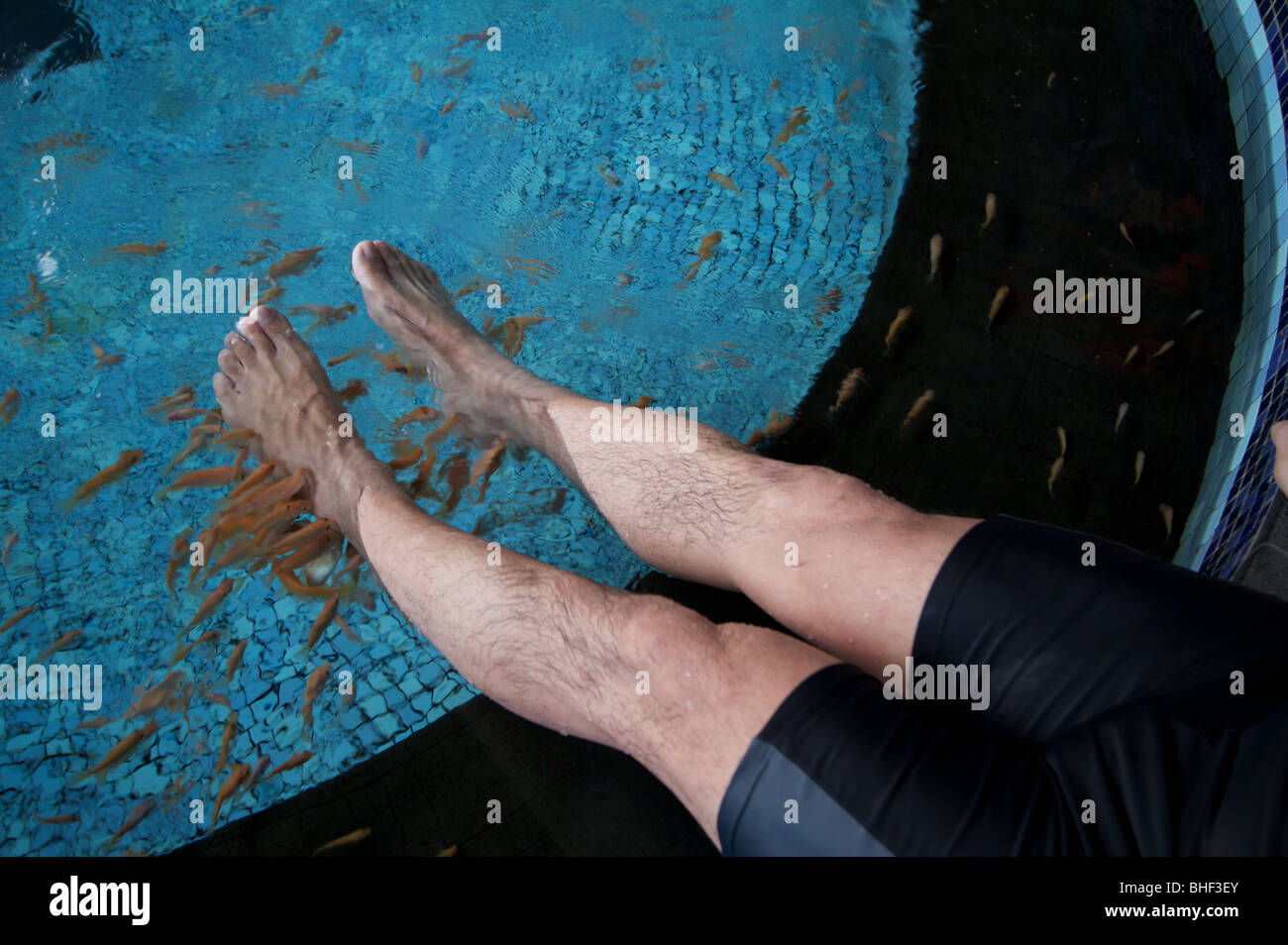 fish feet cleaner Stock Photo - Alamy