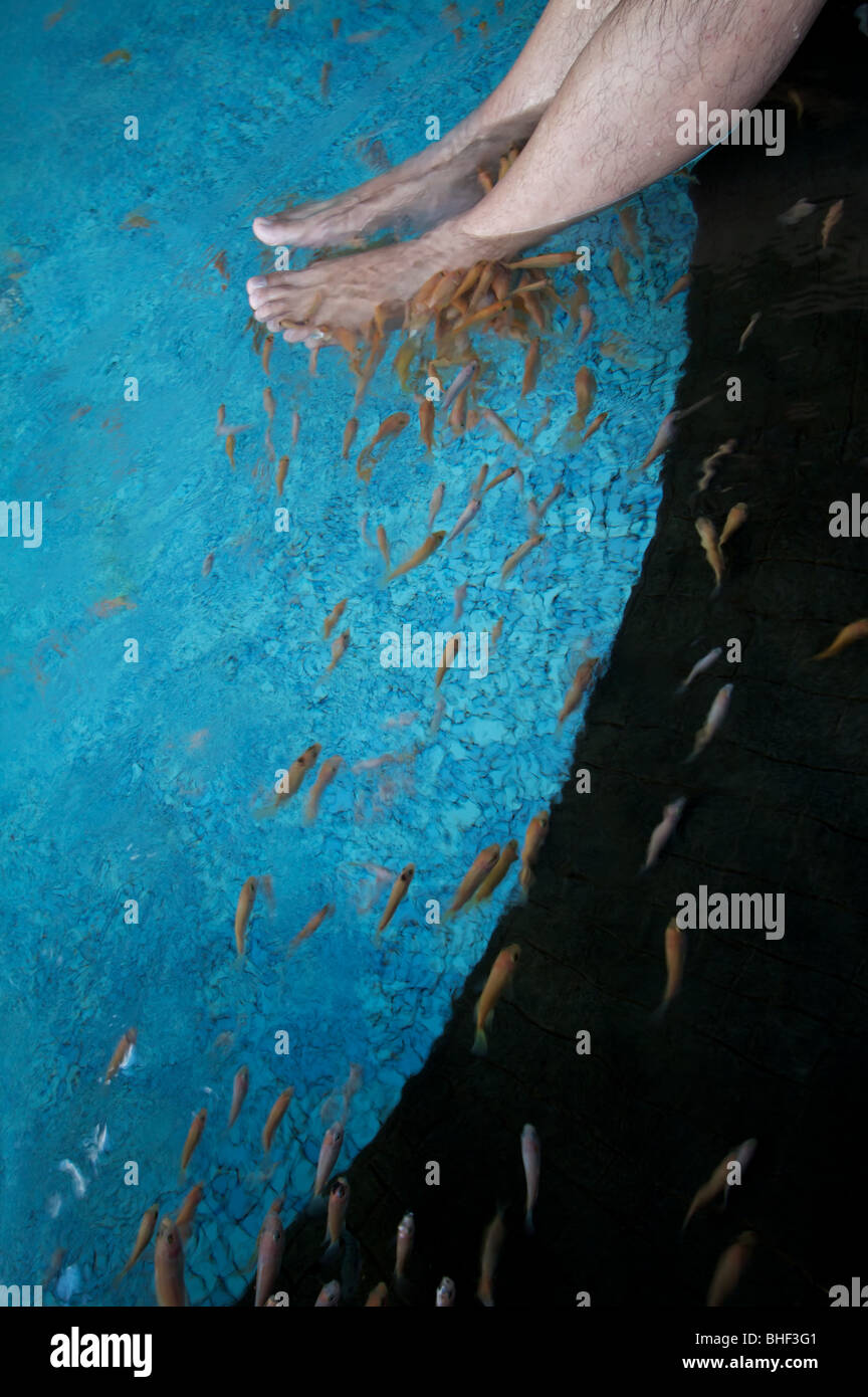 fish feet cleaner Stock Photo - Alamy