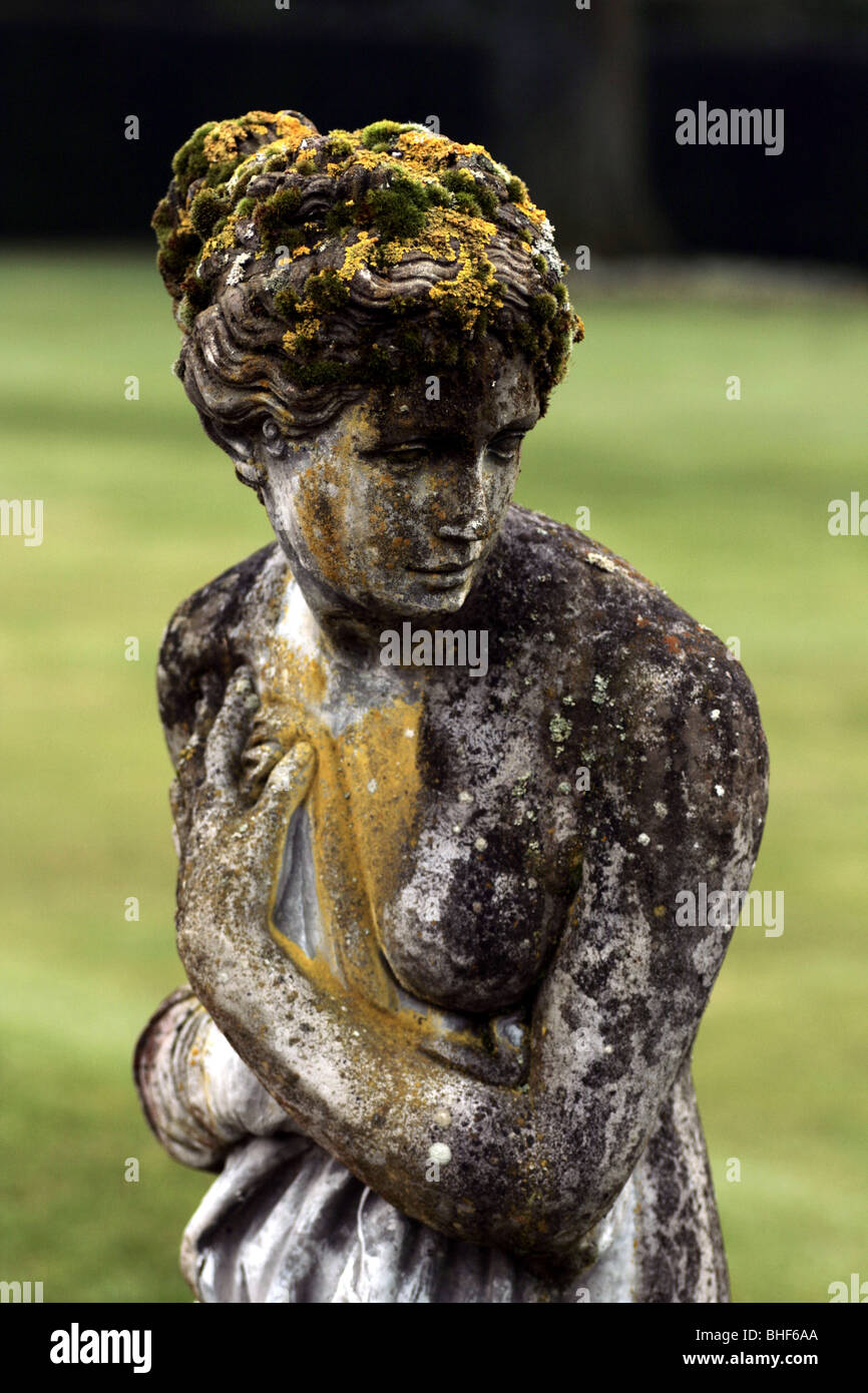 Moss lady hi-res stock photography and images - Alamy
