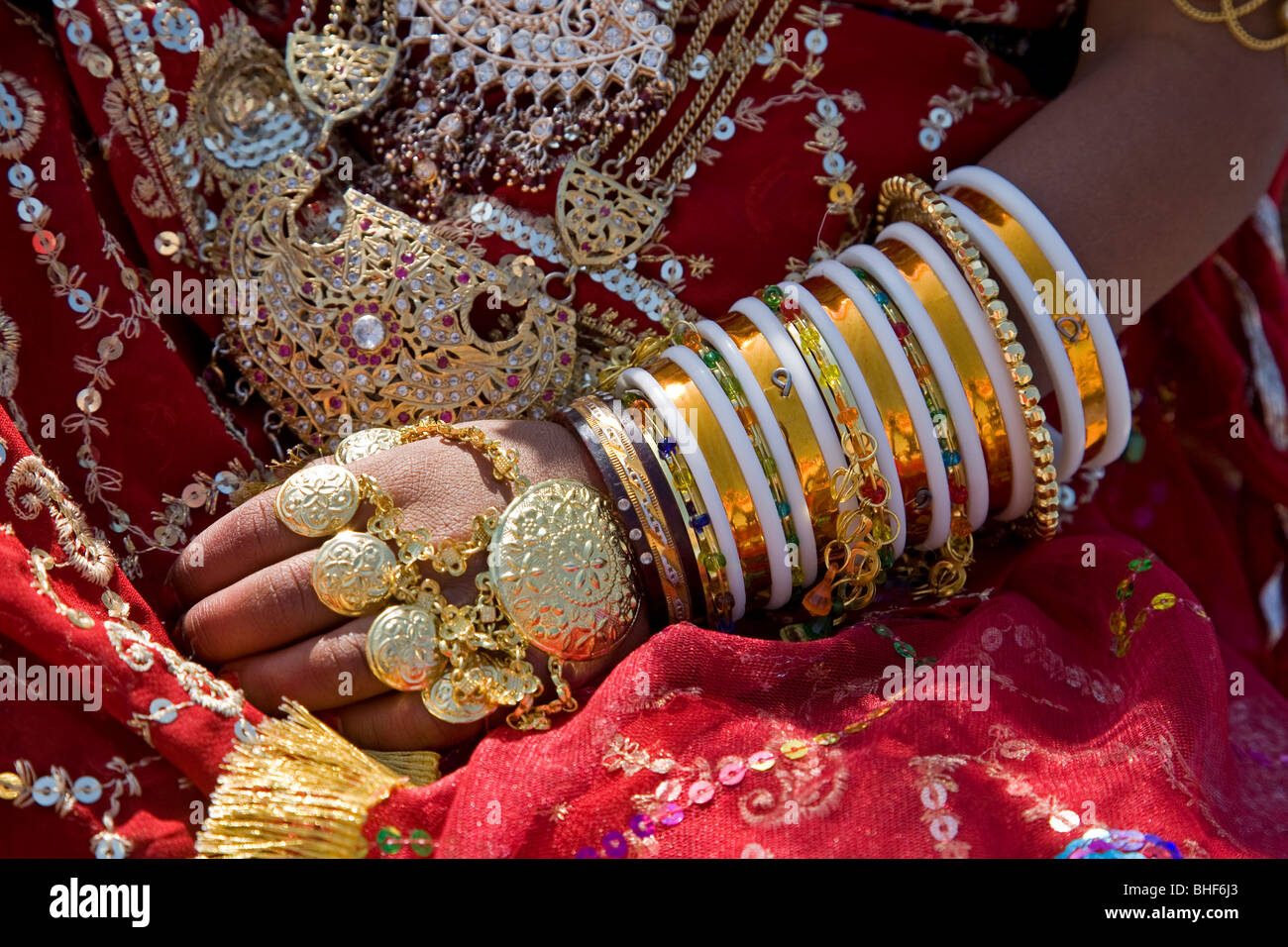 India woman with traditional embroidery. Bikaner. Rajasthan. India ...