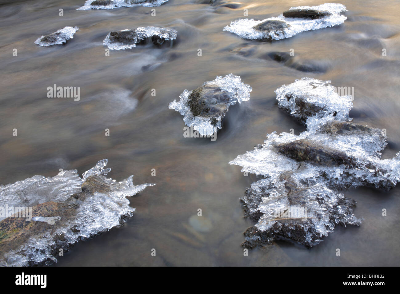 Ice forming around stones in the River Severn during a January cold ...