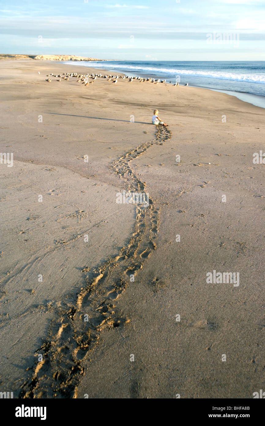 Group babies crawling hi-res stock photography and images - Alamy
