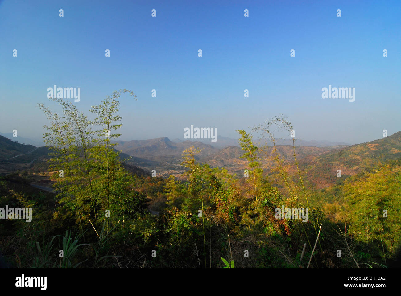 Loeis hi-res stock photography and images - Alamy