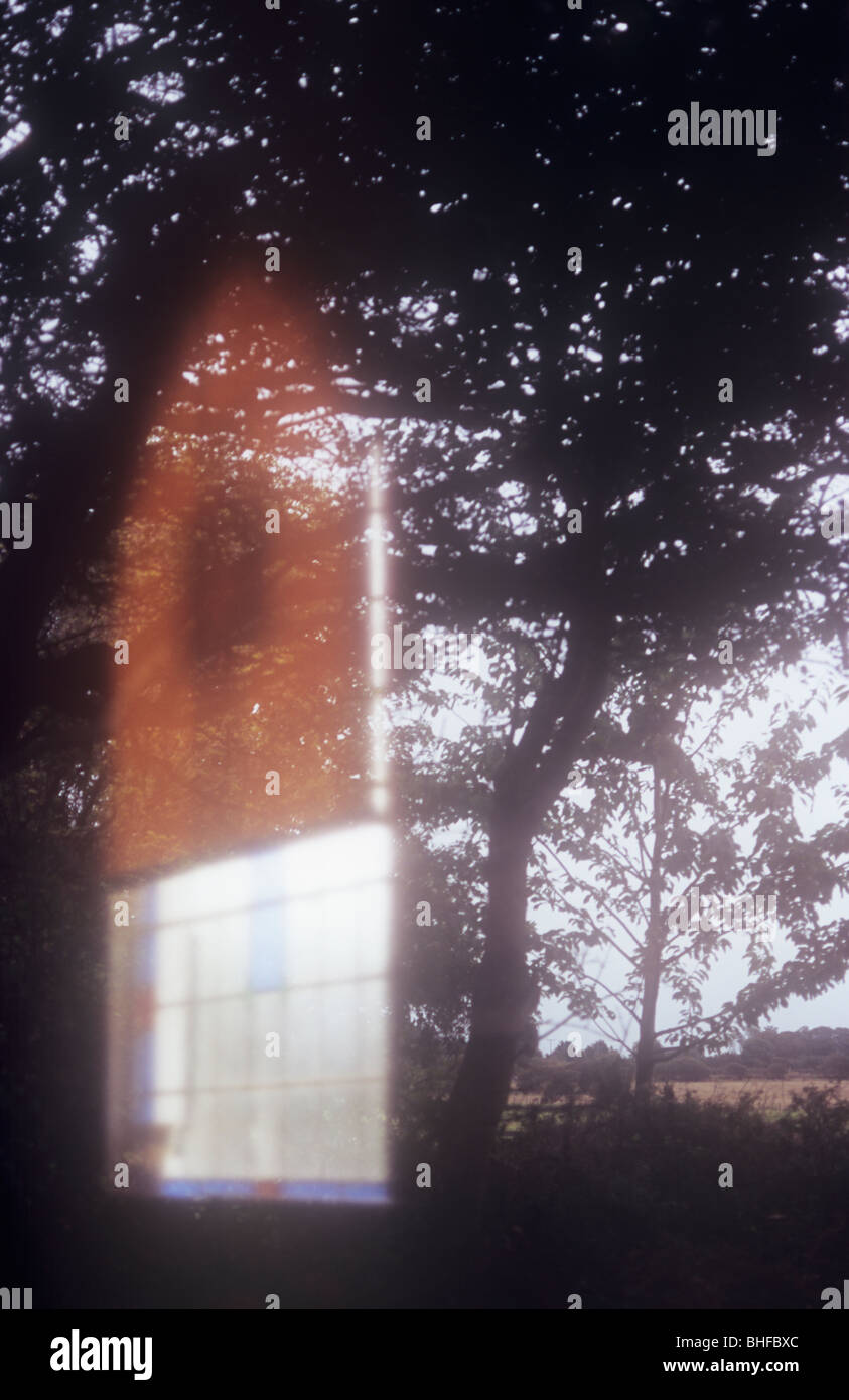 Enigmatic view of tree reflections on window while looking thru to ...