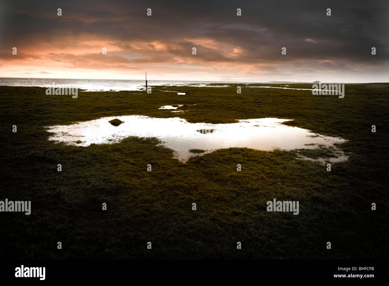 Puddle view hi-res stock photography and images - Alamy