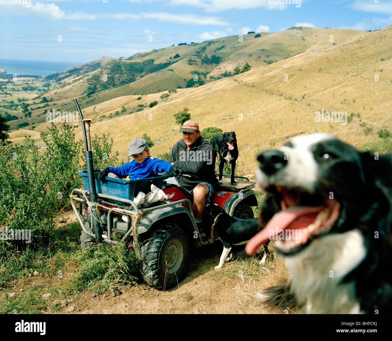 Shepherd Lou Thacker with son and sheepdogs in front of vast pasture ...