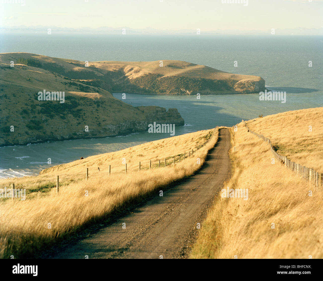 Deserted country road on shore in the sunlight, Okains Bay, Banks ...
