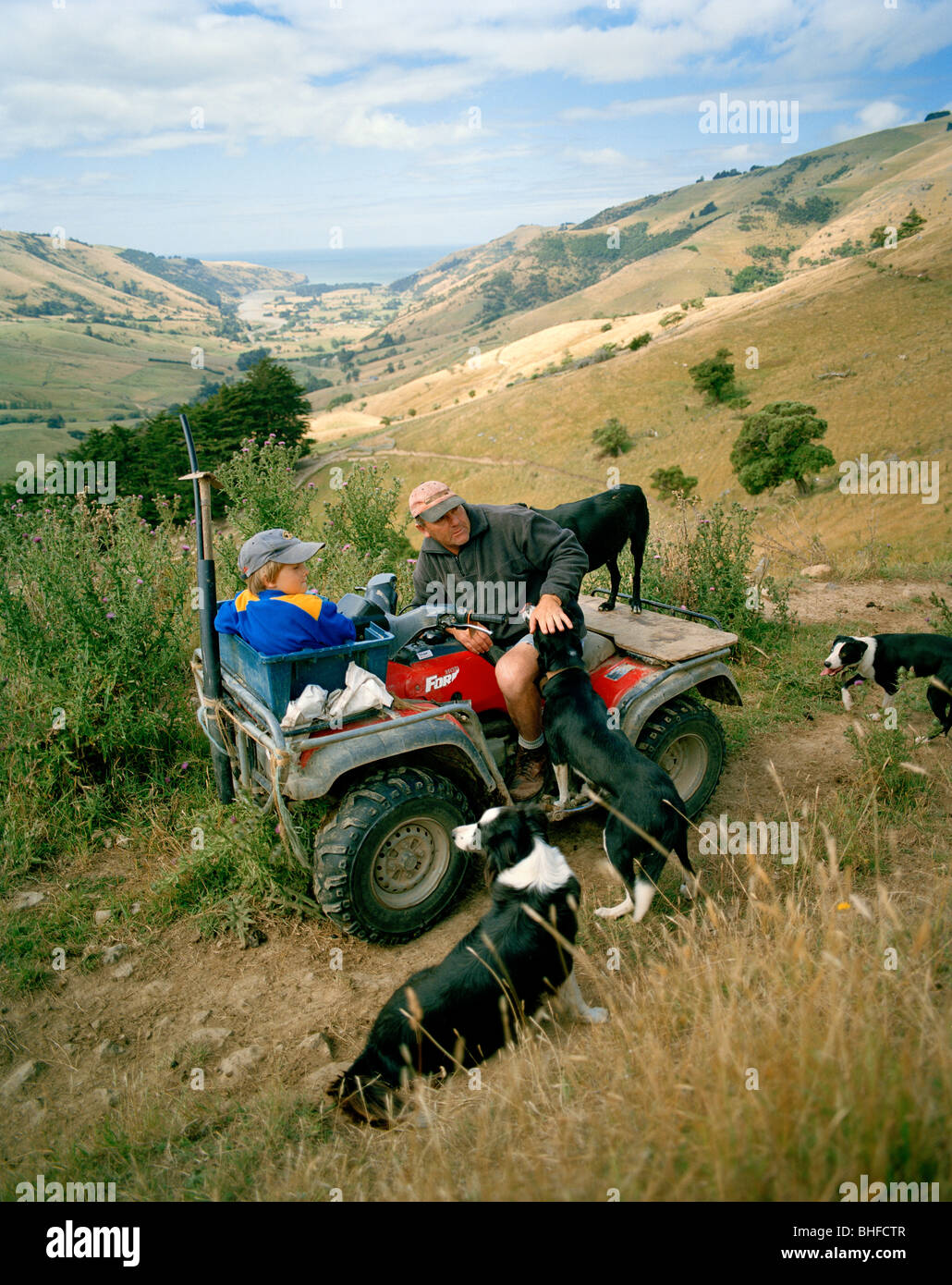 Shepherd Lou Thacker with son and sheepdogs in front of vast pasture ...