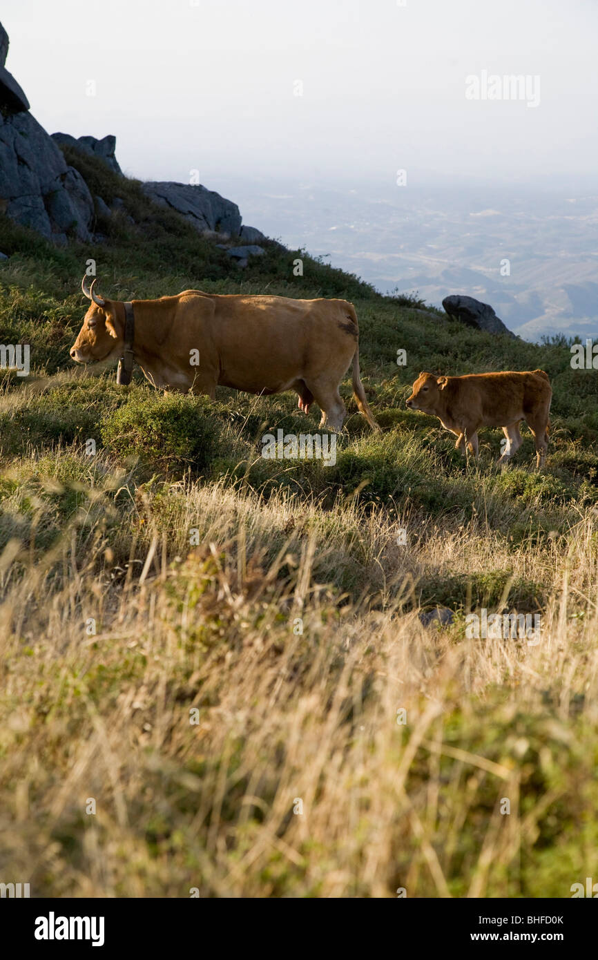 902 meters hi-res stock photography and images - Alamy
