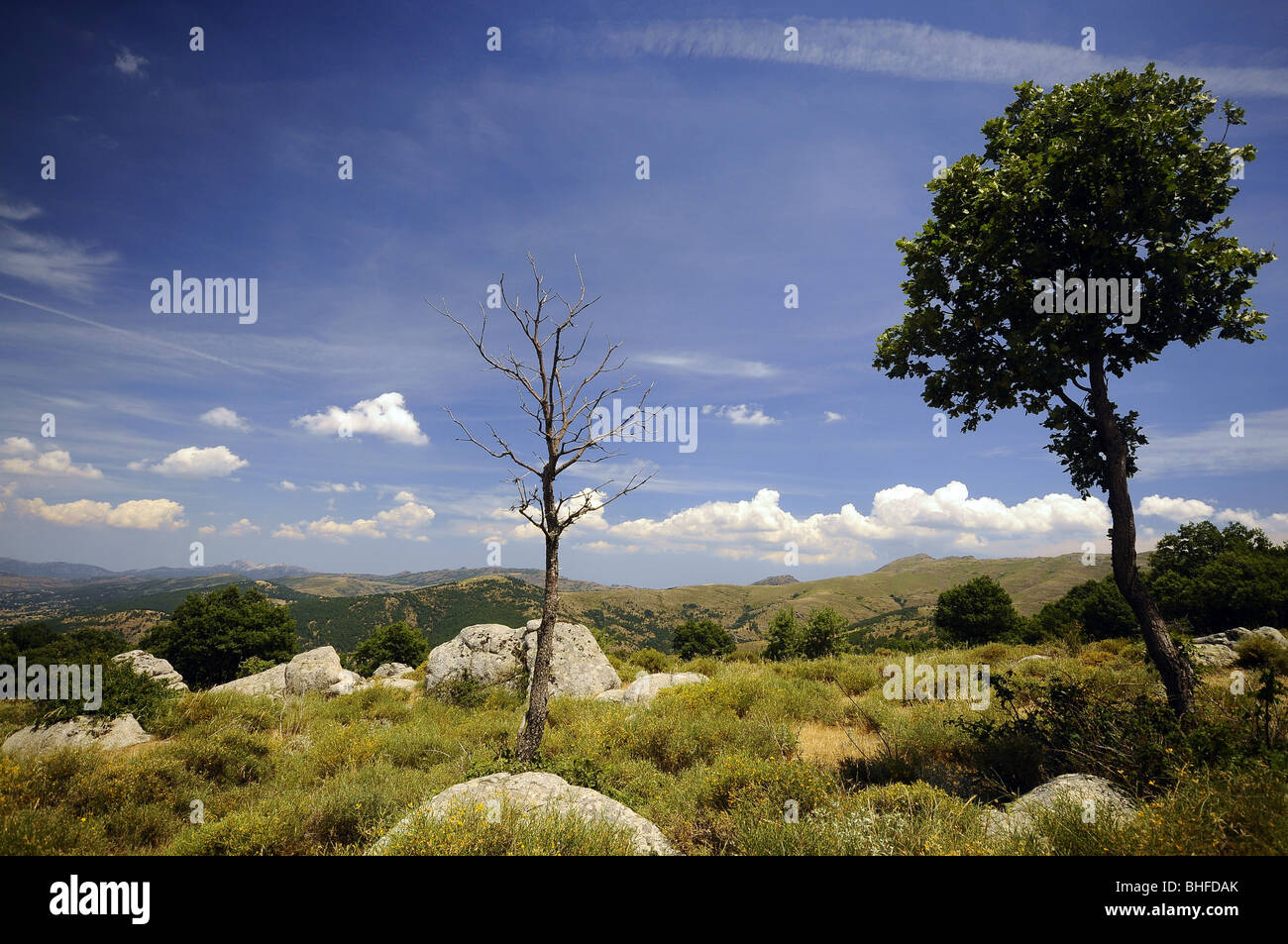 Spada hi-res stock photography and images - Alamy