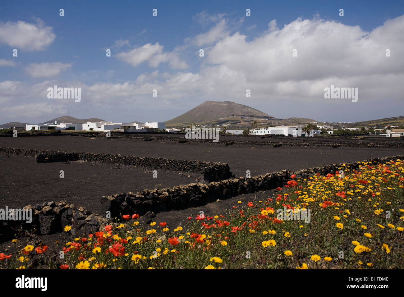 Lapilli hi-res stock photography and images - Alamy