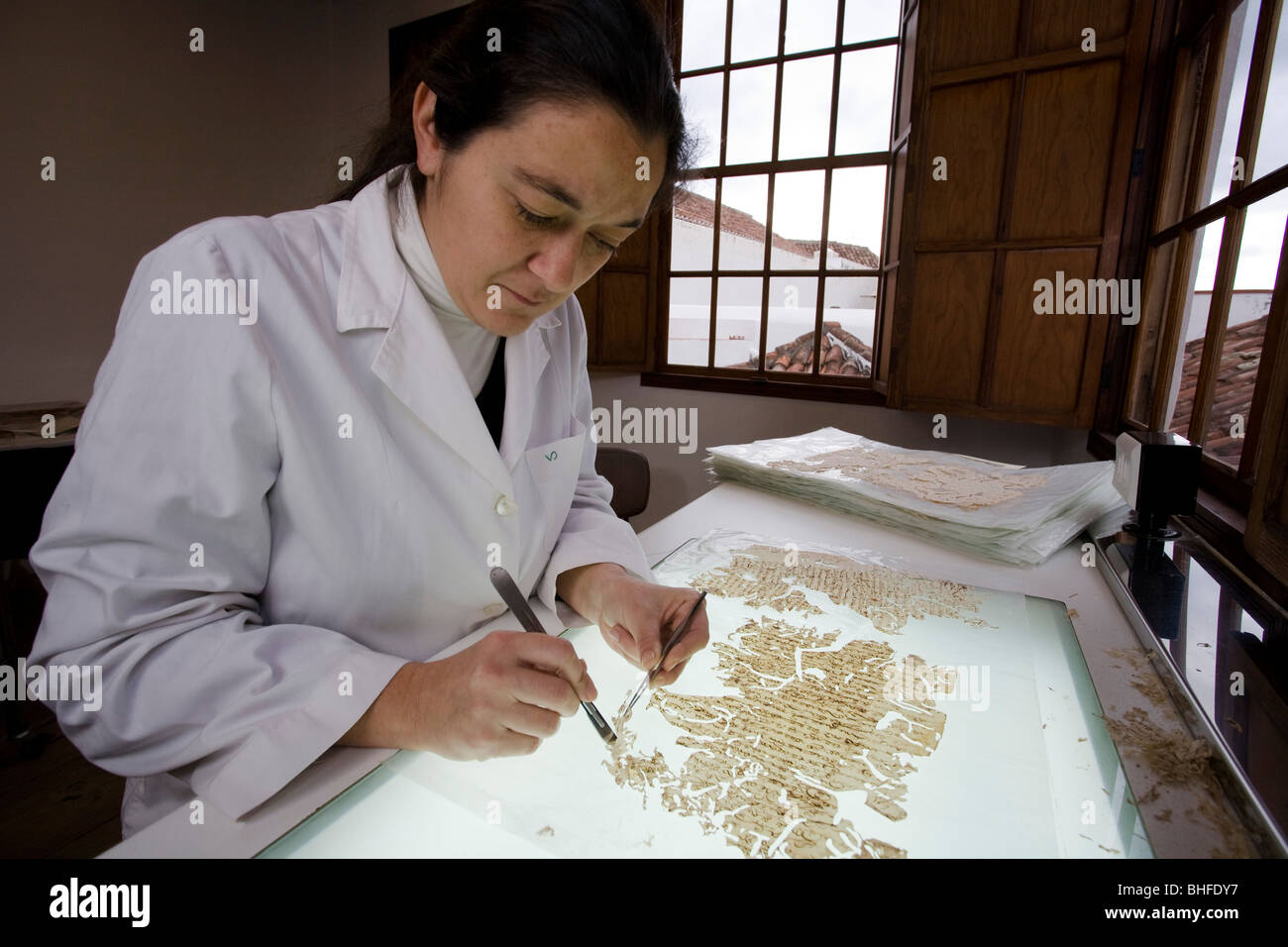 Conservator working hi-res stock photography and images - Alamy