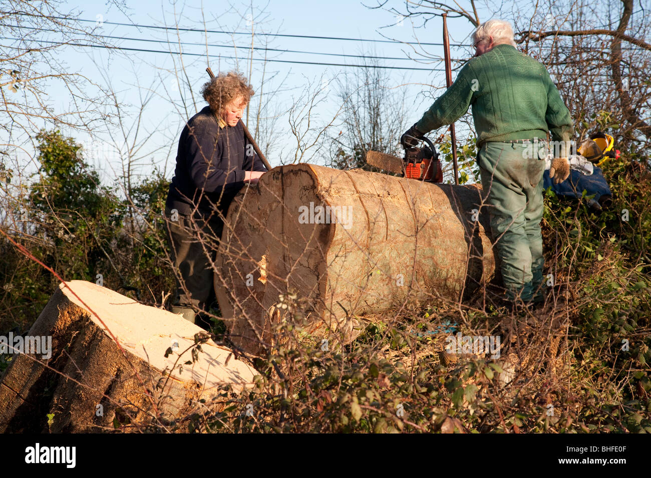 Cutting trees hi-res stock photography and images - Alamy