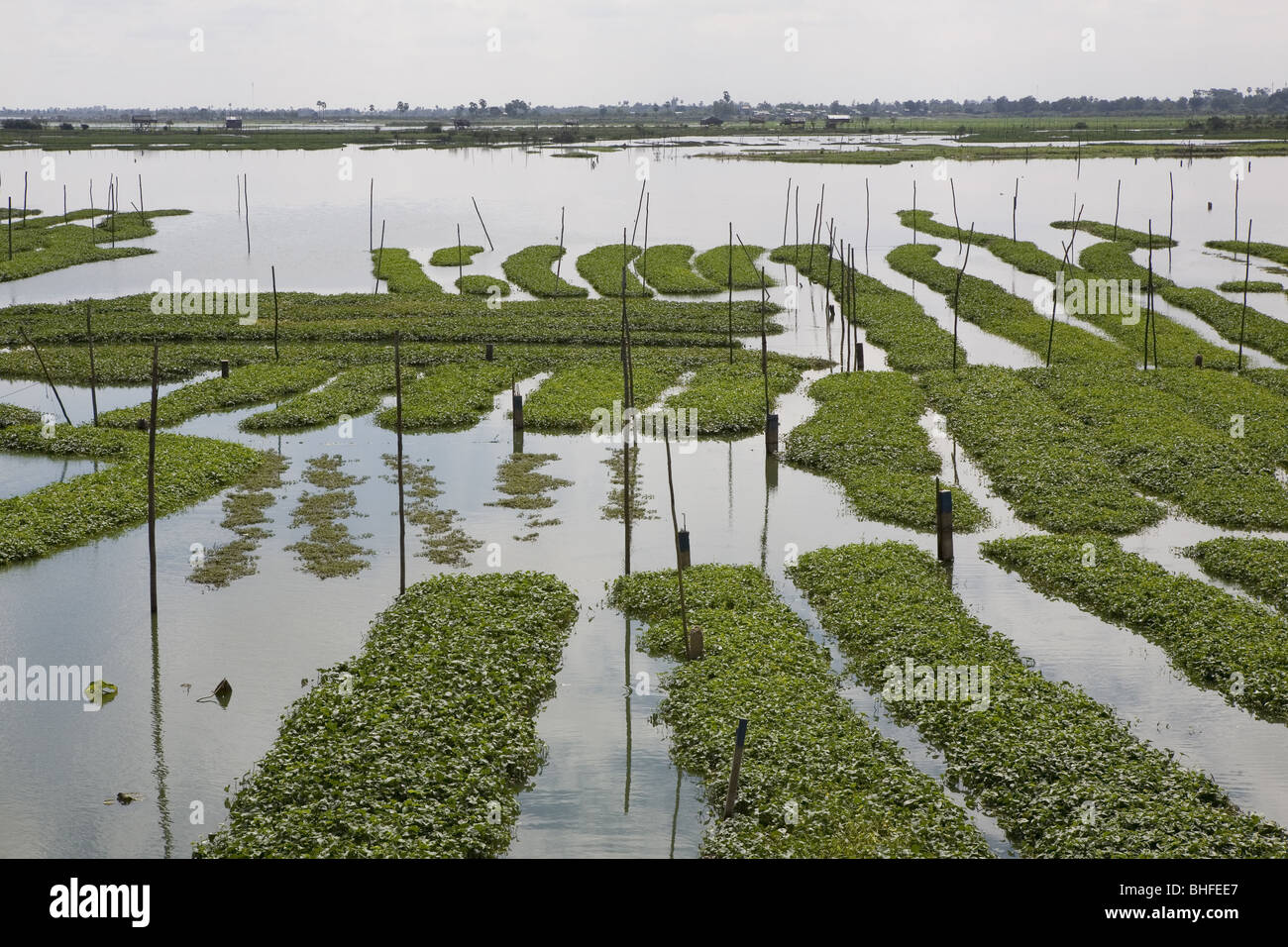 Water canals under clouded sky south of Phnom Penh, Cambodia, Asia ...