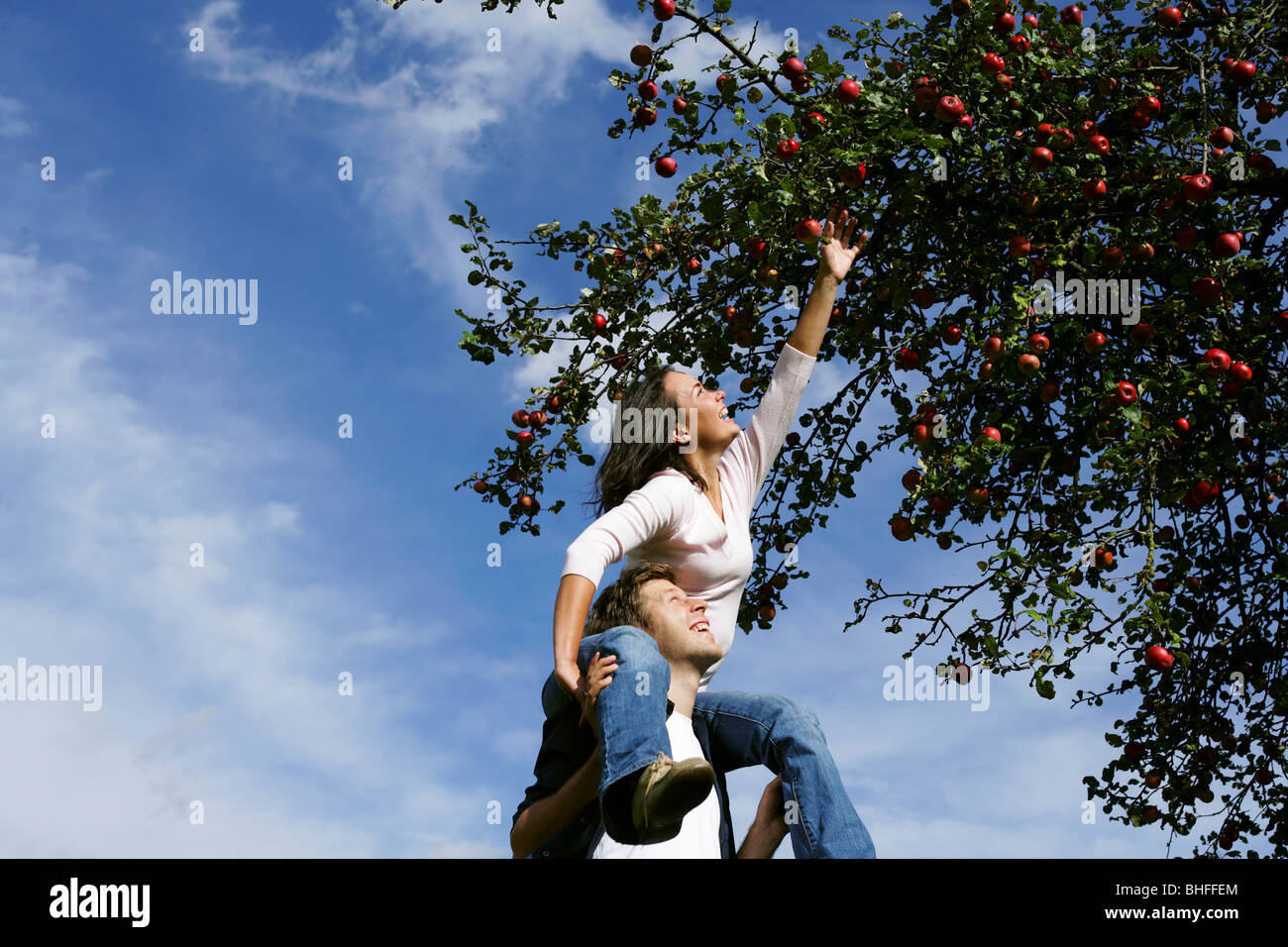 People reaching fruit on tree hi-res stock photography and images - Alamy