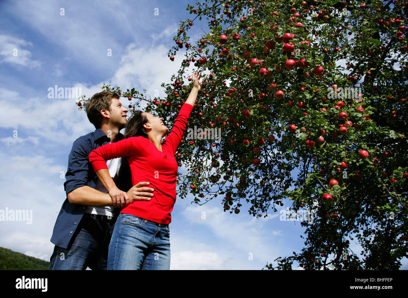 Two women under apple tree hi-res stock photography and images - Alamy