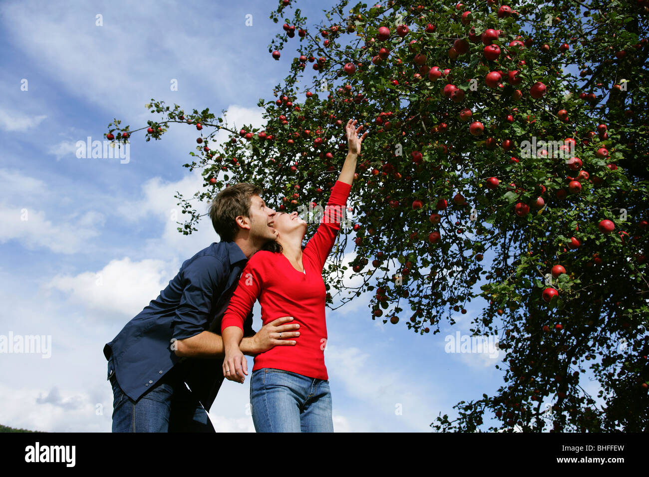 Two women under apple tree hi-res stock photography and images - Alamy
